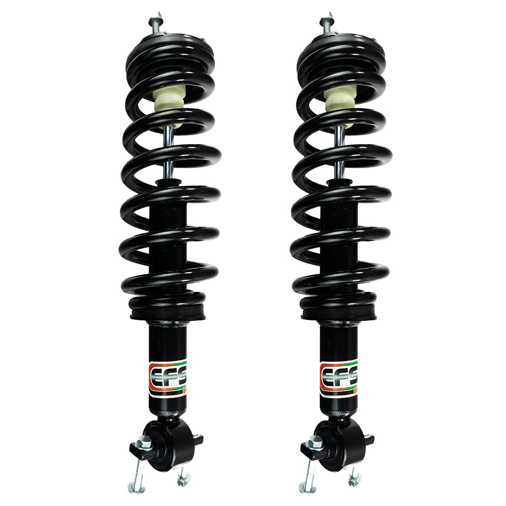 EFS Elite Easy Fit Struts (Pair) – EFS Store